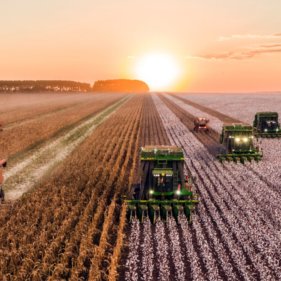 Green Economy Tracker | About